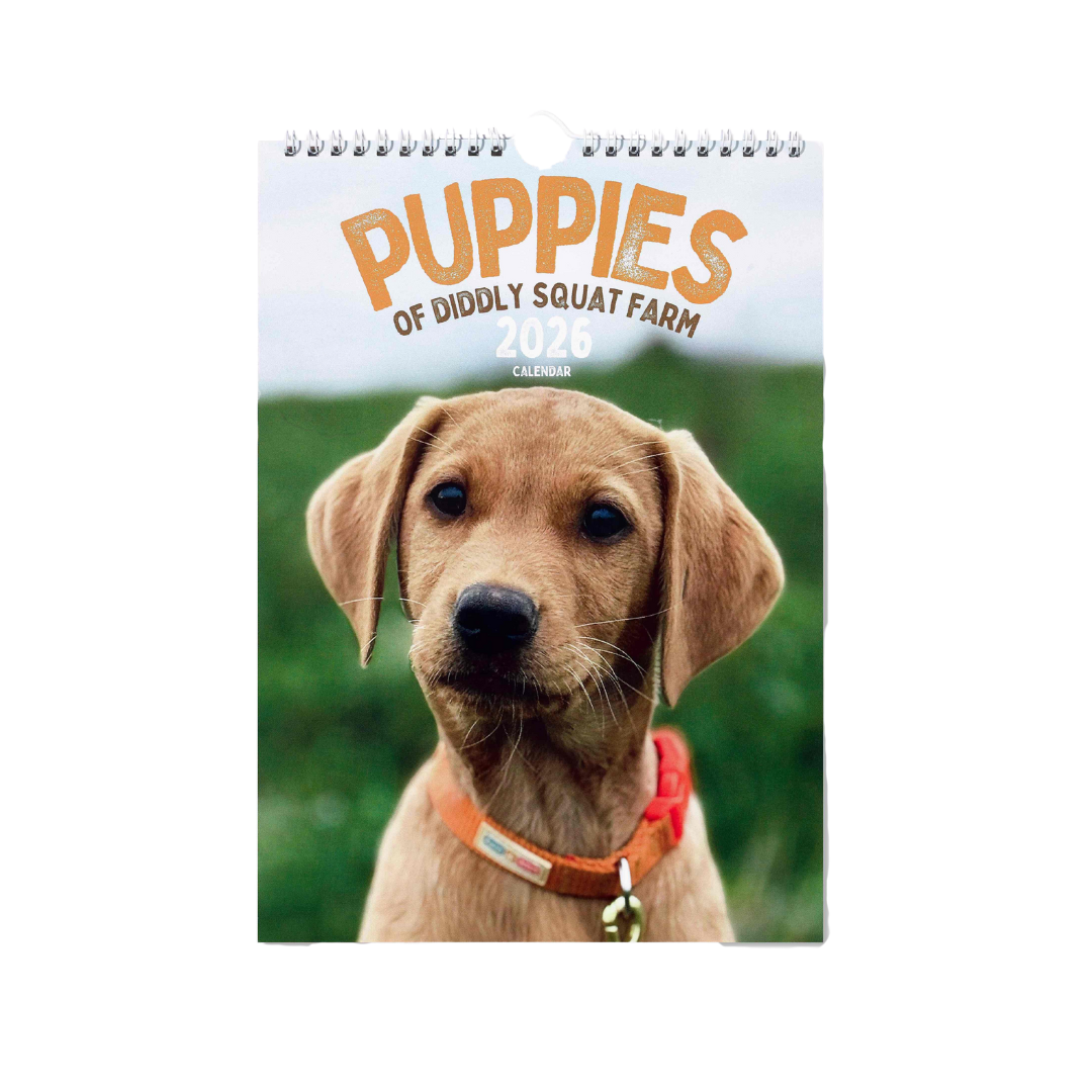 Puppies of Diddly Squat Farm 2026 Calendar – Diddly Squat Farm Shop
